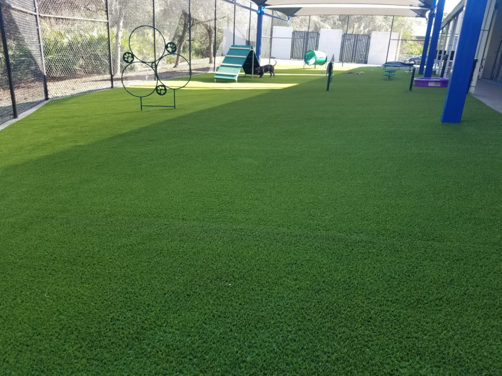Artificial Turf Installation Services in Bayonet Point